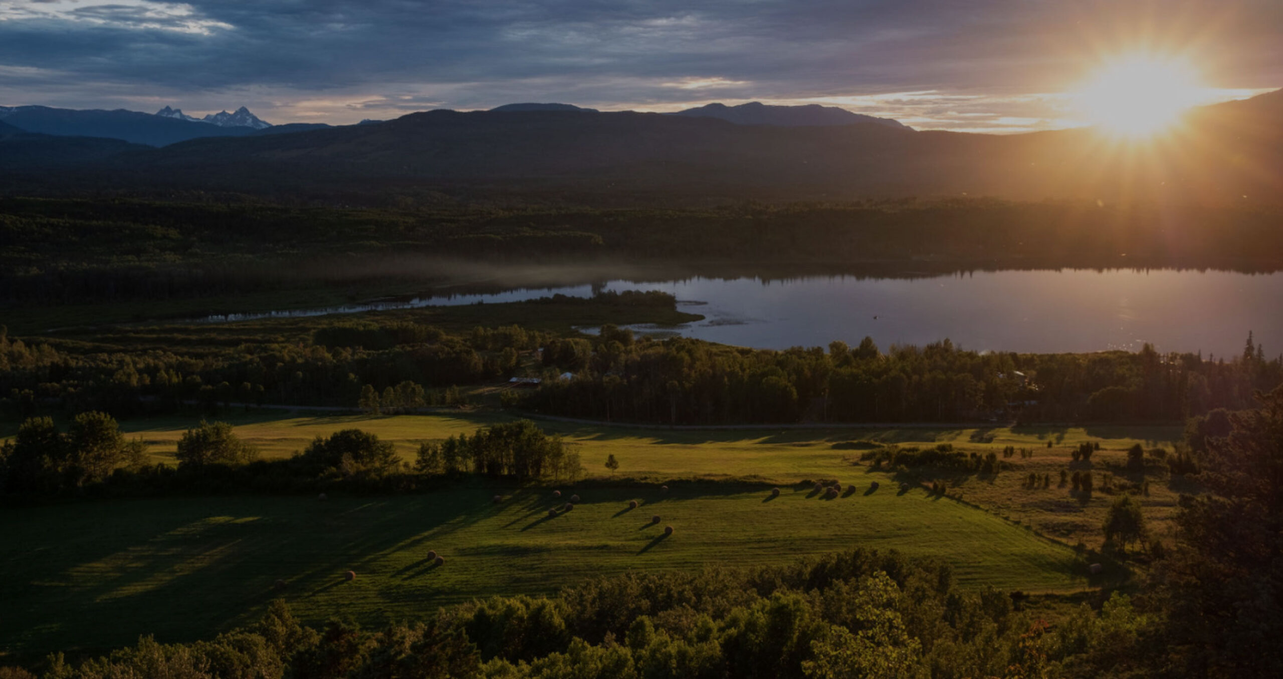 Board of Directors - About Us | Bulkley Valley Credit Union